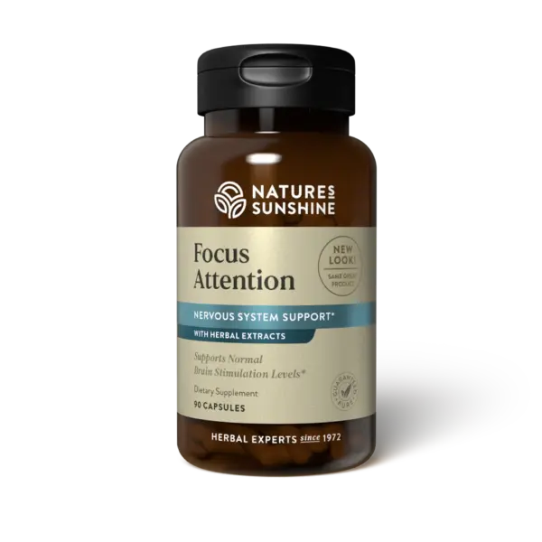 Focus Attention – Sunshineways